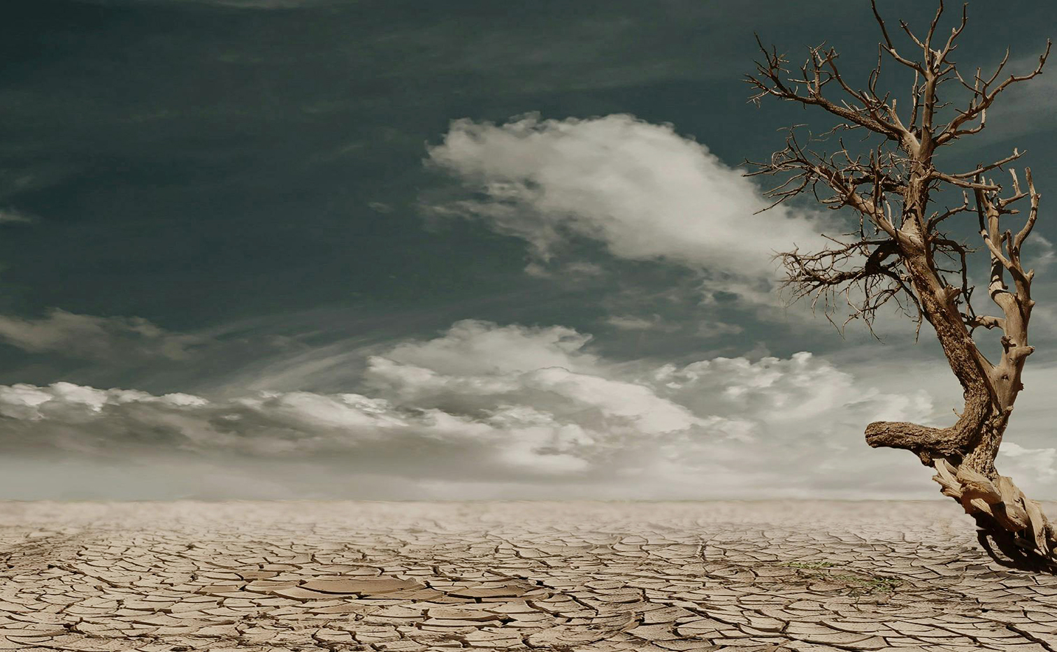 Papa Francisco e as mudanças climáticas - Província Santa Cruz ...